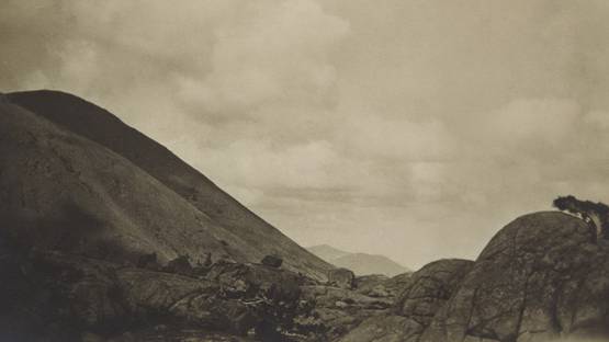 Anne Brigman | Widewalls