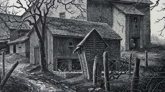 Grace Albee | Widewalls