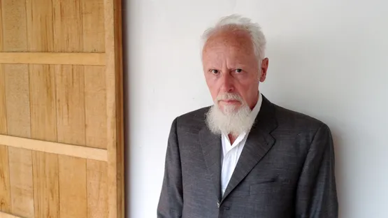 Helmut Federle | Widewalls