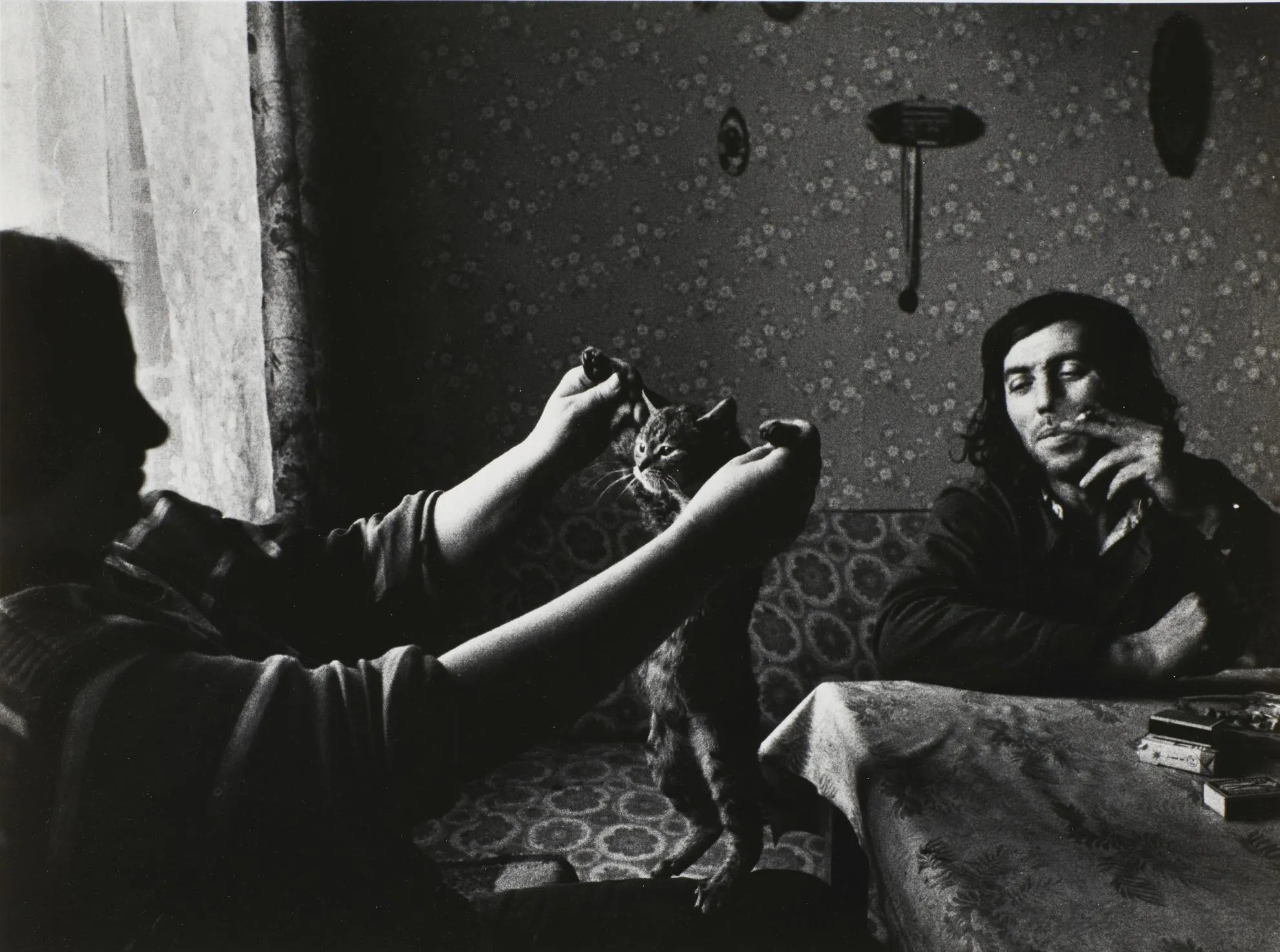 Arnoltice | Widewalls