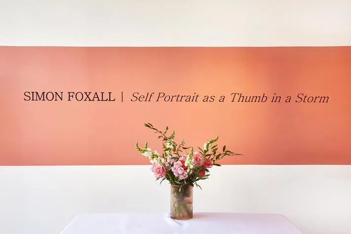 Simon Foxall: Self Portrait as a Thumb in a Storm | Widewalls