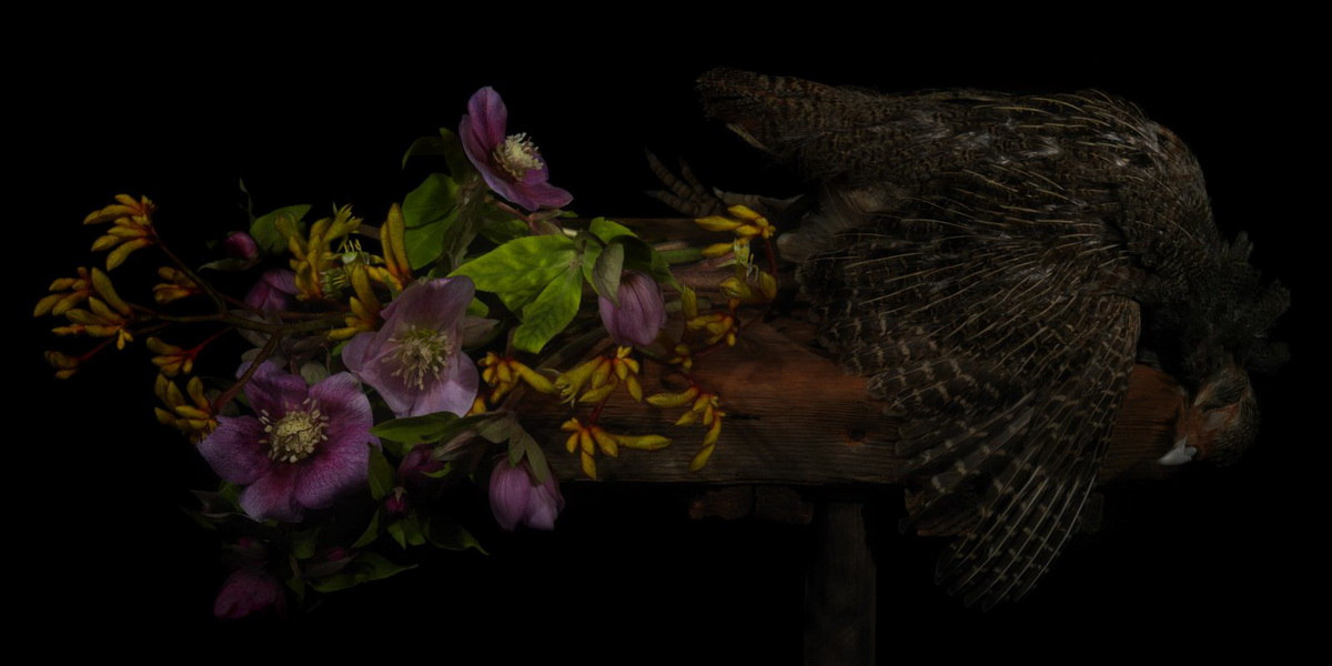 Alexander James | Widewalls