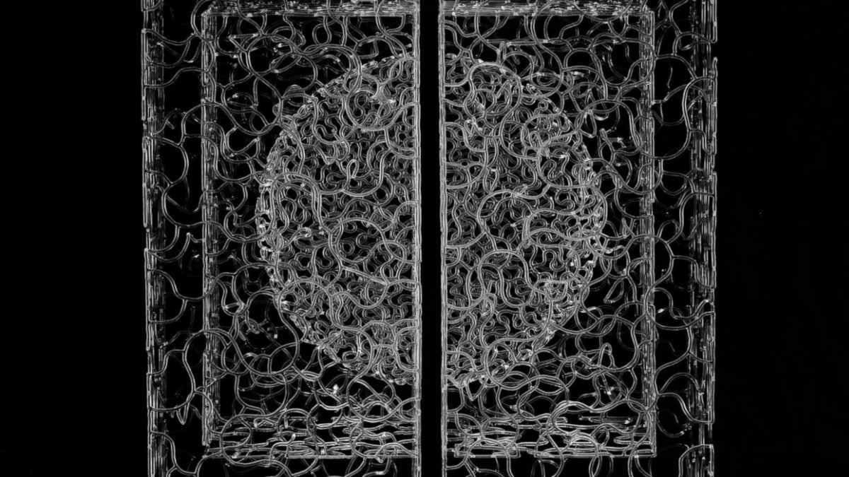 Brent Kee Young | Widewalls