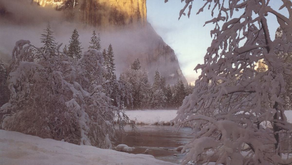 David Muench | Widewalls