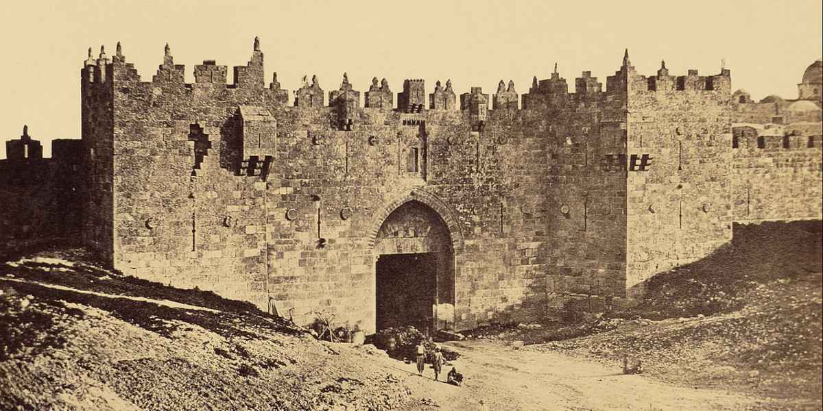 James Robertson | Widewalls