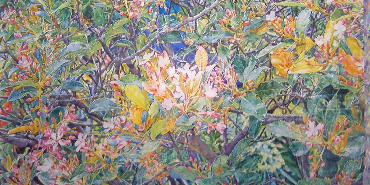 Joseph Raffael | Widewalls