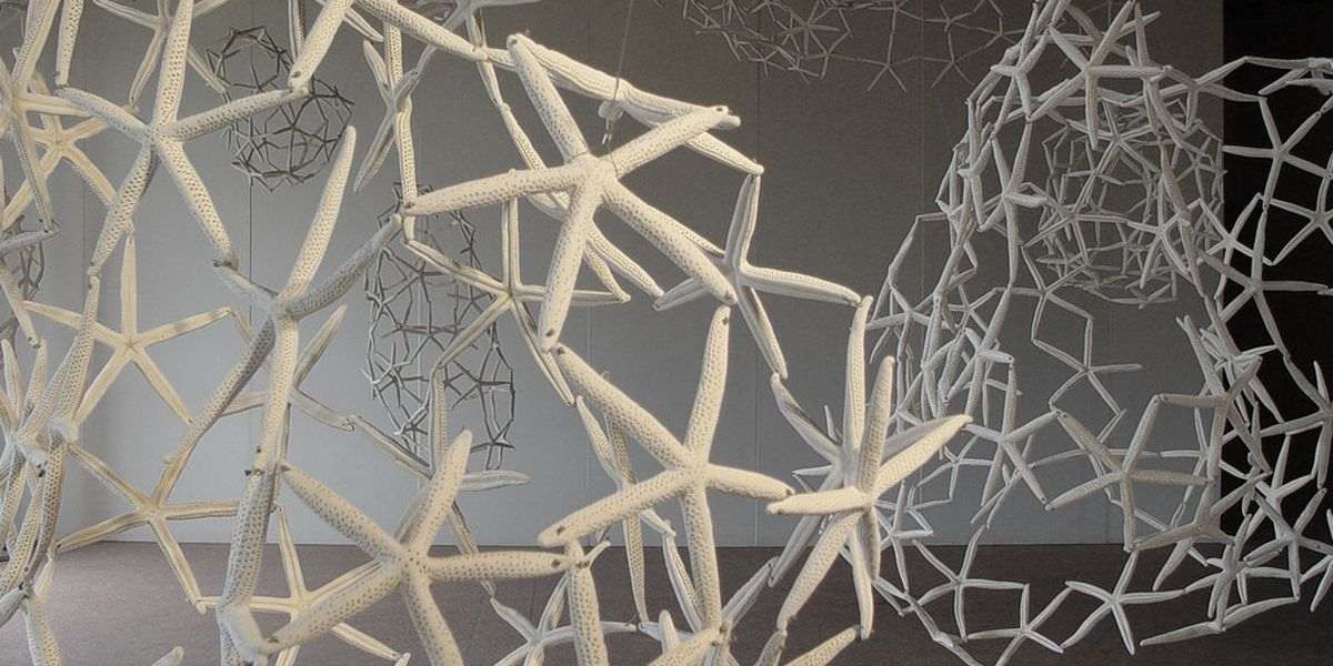 Maria Fernanda Cardoso | Widewalls