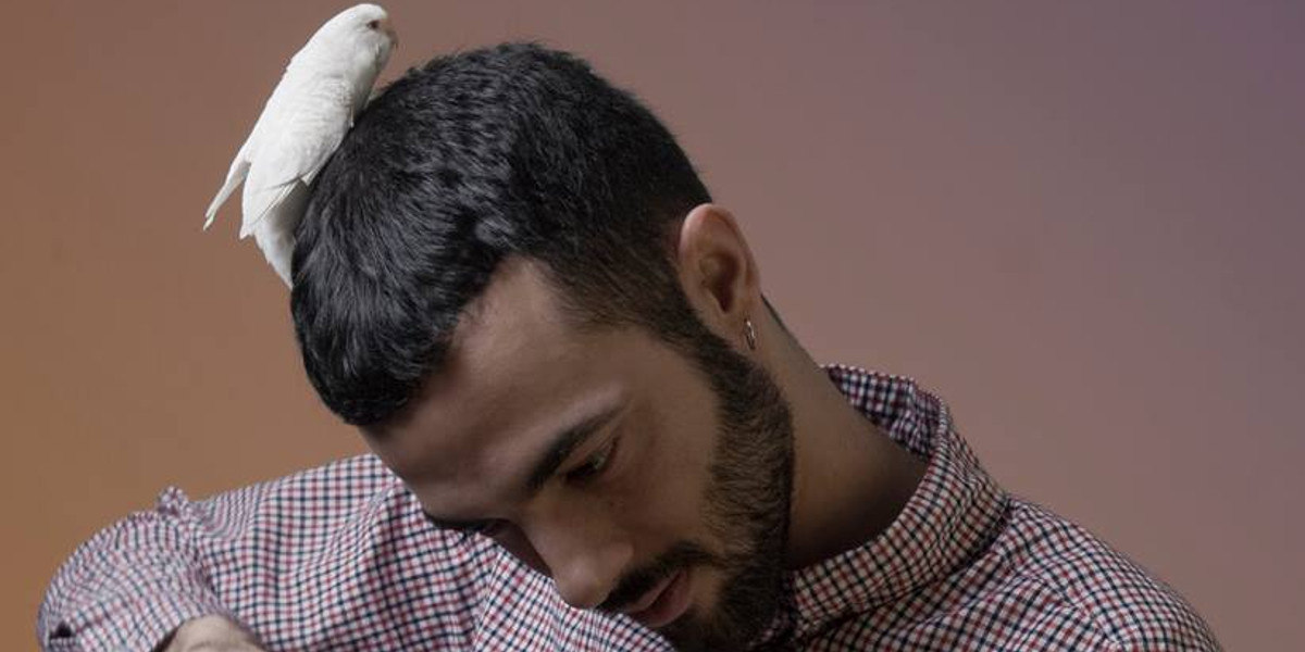 Roberto Greco - 0 Auction Results | Widewalls