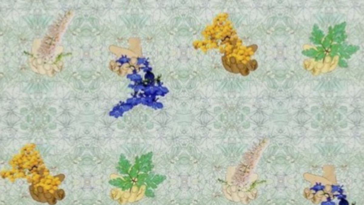 Sonia Boyce | Widewalls