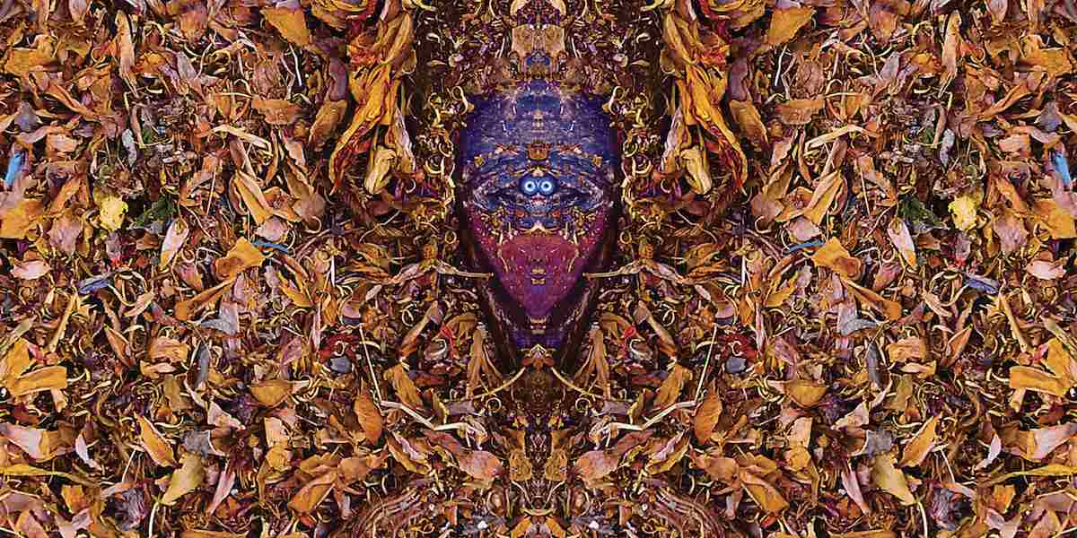 Stephen Calhoun | Widewalls