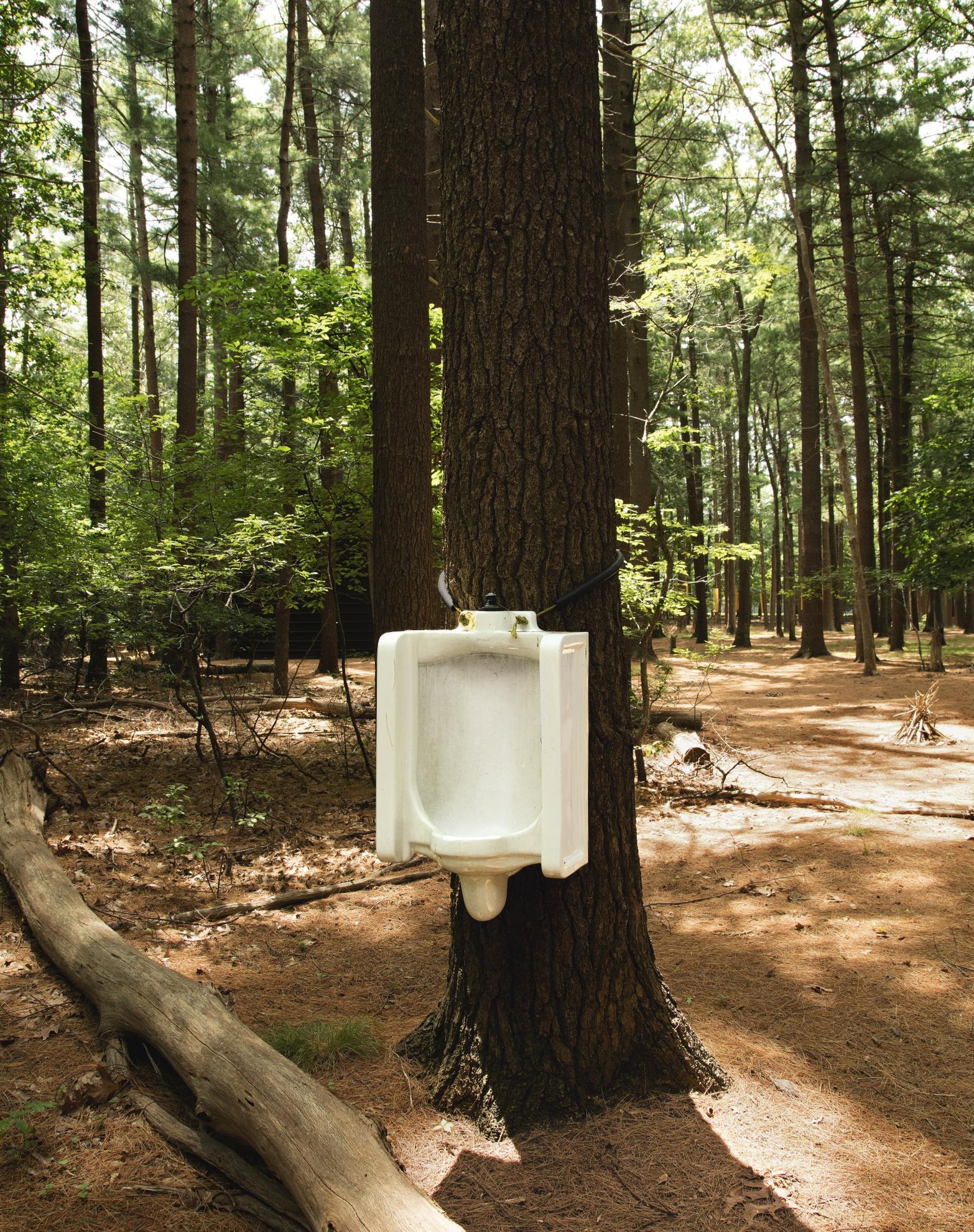 Toilet Tree | Widewalls