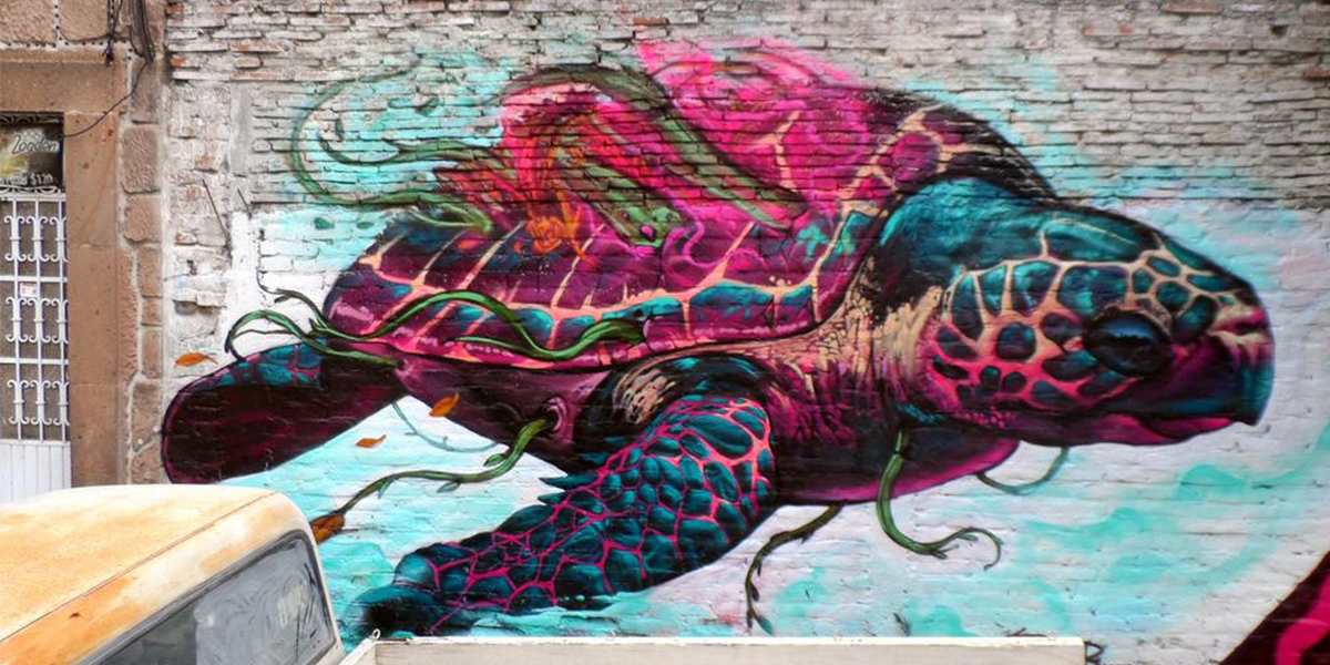 Farid Rueda - Turtle House | Widewalls