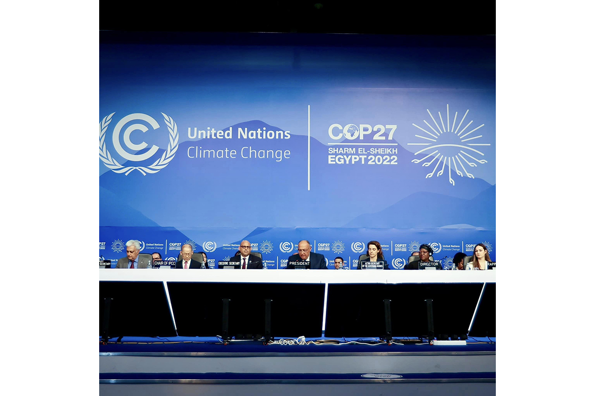 Cop27 Opens in Egypt and Art Institutions Have Yet to Take Actions to ...