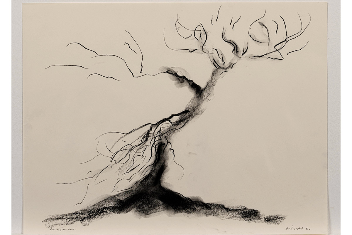 David Nash's Study of Trees and Wood at The Weston Gallery | Widewalls