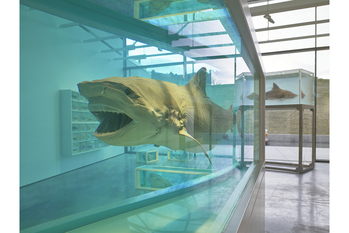 Damien Hirst's Preserved Animals & Micky Mouse Sculptures Find Shelter ...