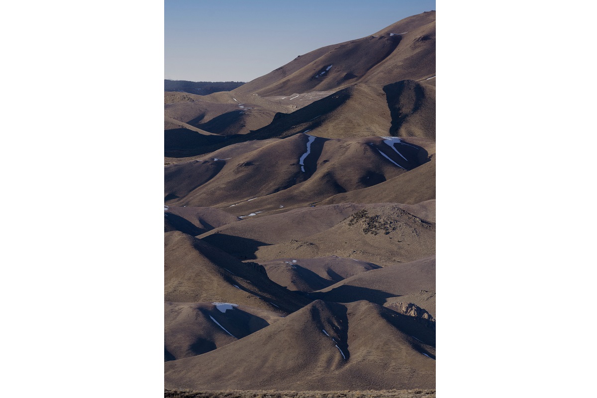 L.A. Louver to Put on Show New Photography and Sculpture by LA-Based ...